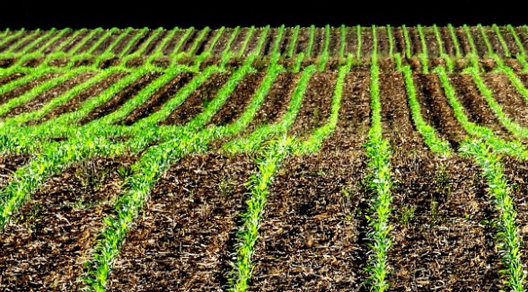 Farmland Partners to Purchase Eight Row Crop Farms | The Land Report